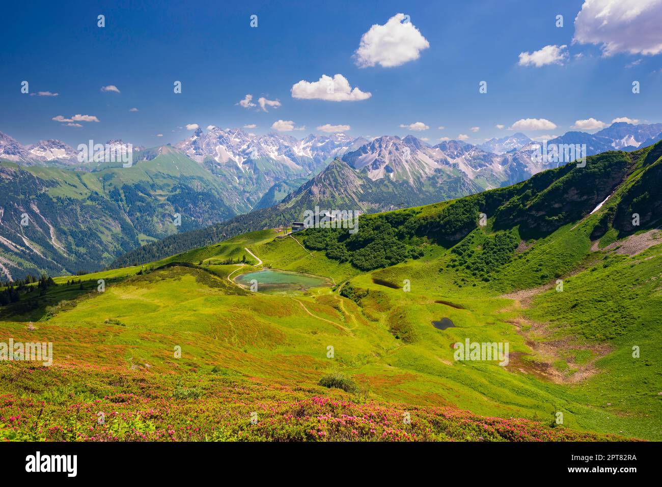 Alpine rose blossom, panorama from Fellhorn over Schlappoldsee and ...
