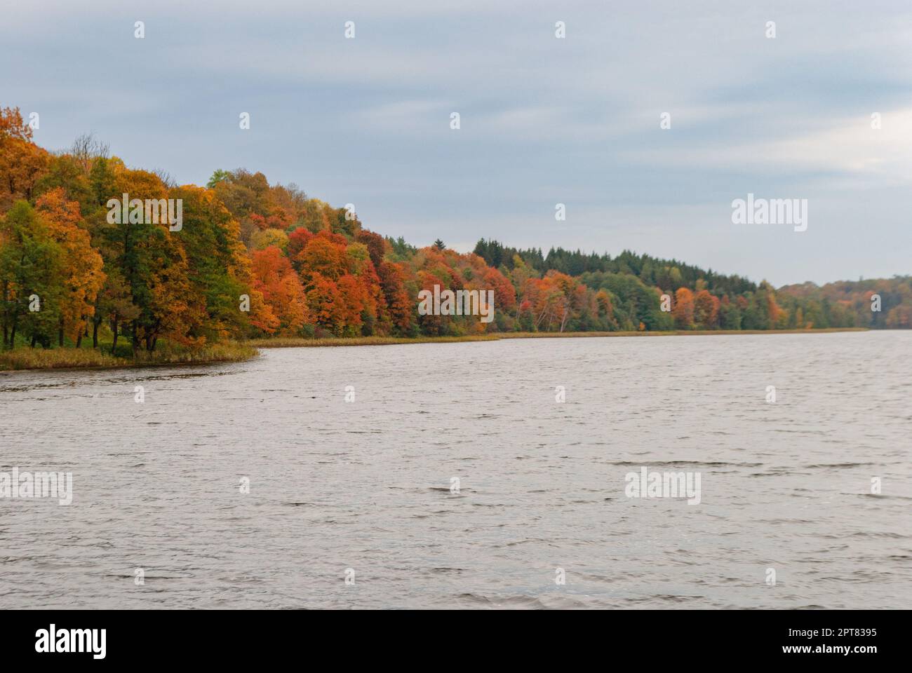 Lake Asveja, the longest lake in Lithuania and colorful autumn ...