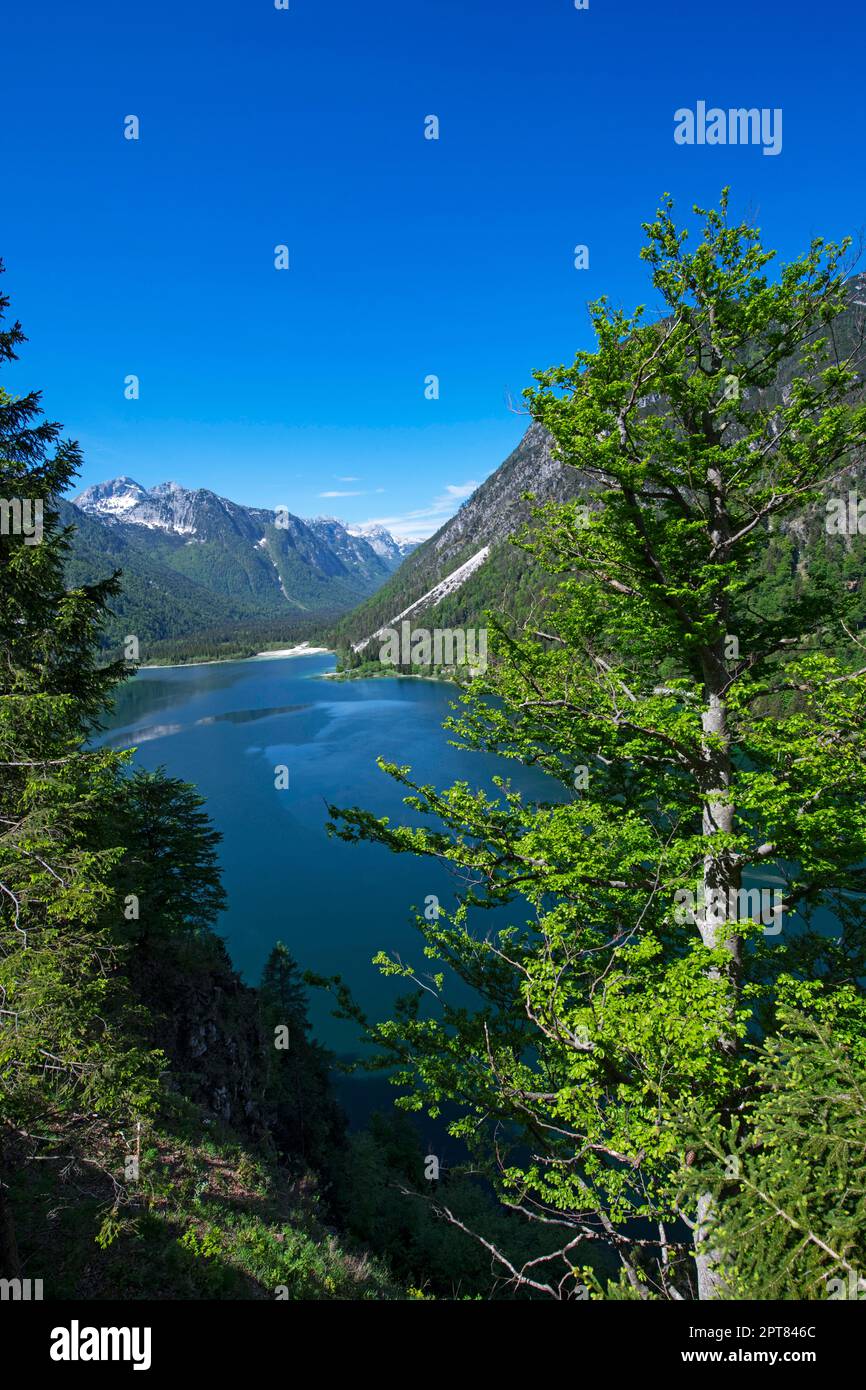 Lago del Predil, Raibler See, Tarvisio, Tarvis, Julian Alps, Italy ...
