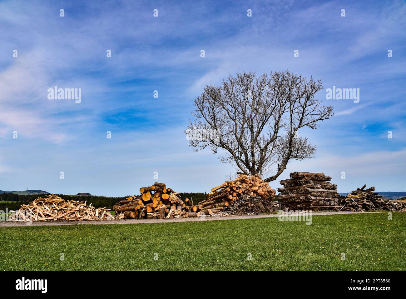A wood collection point with split wood, tree trunks, waste wood and ...