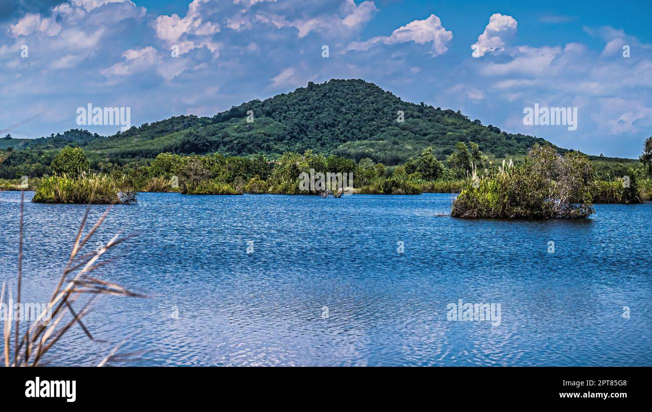 Panorama of summer landscape with clear mountain lake and forest ...