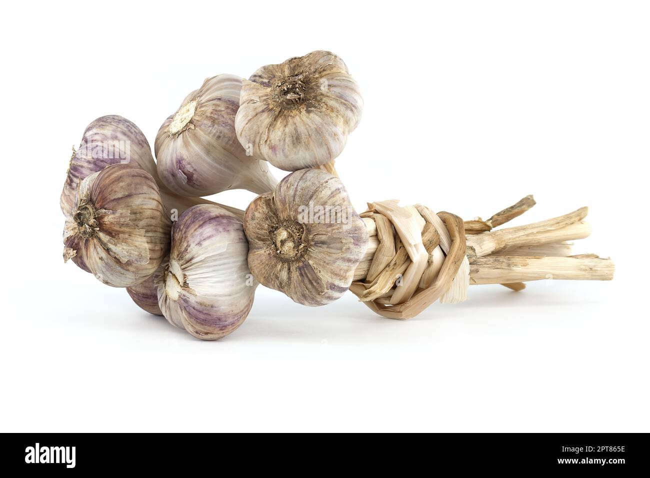 Braided garlic bulbs ready for storage isolated on white background ...
