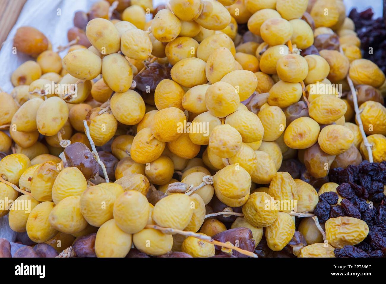 Bunches of round yellow dates, barhi variety. Displayed at street ...