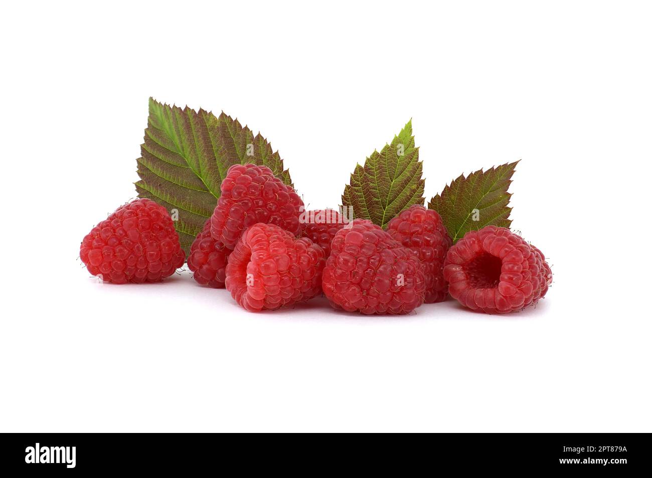 Red ripe raspberry berries with green leaves. Side view, isolated on ...