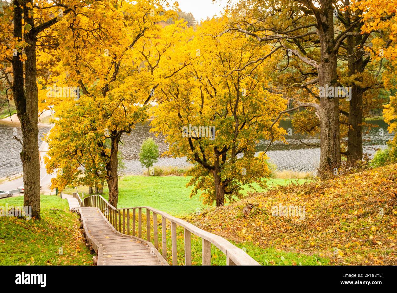 Wooden staircase from a hill near Dubingiai, Lithuania, to Lake Asveja ...