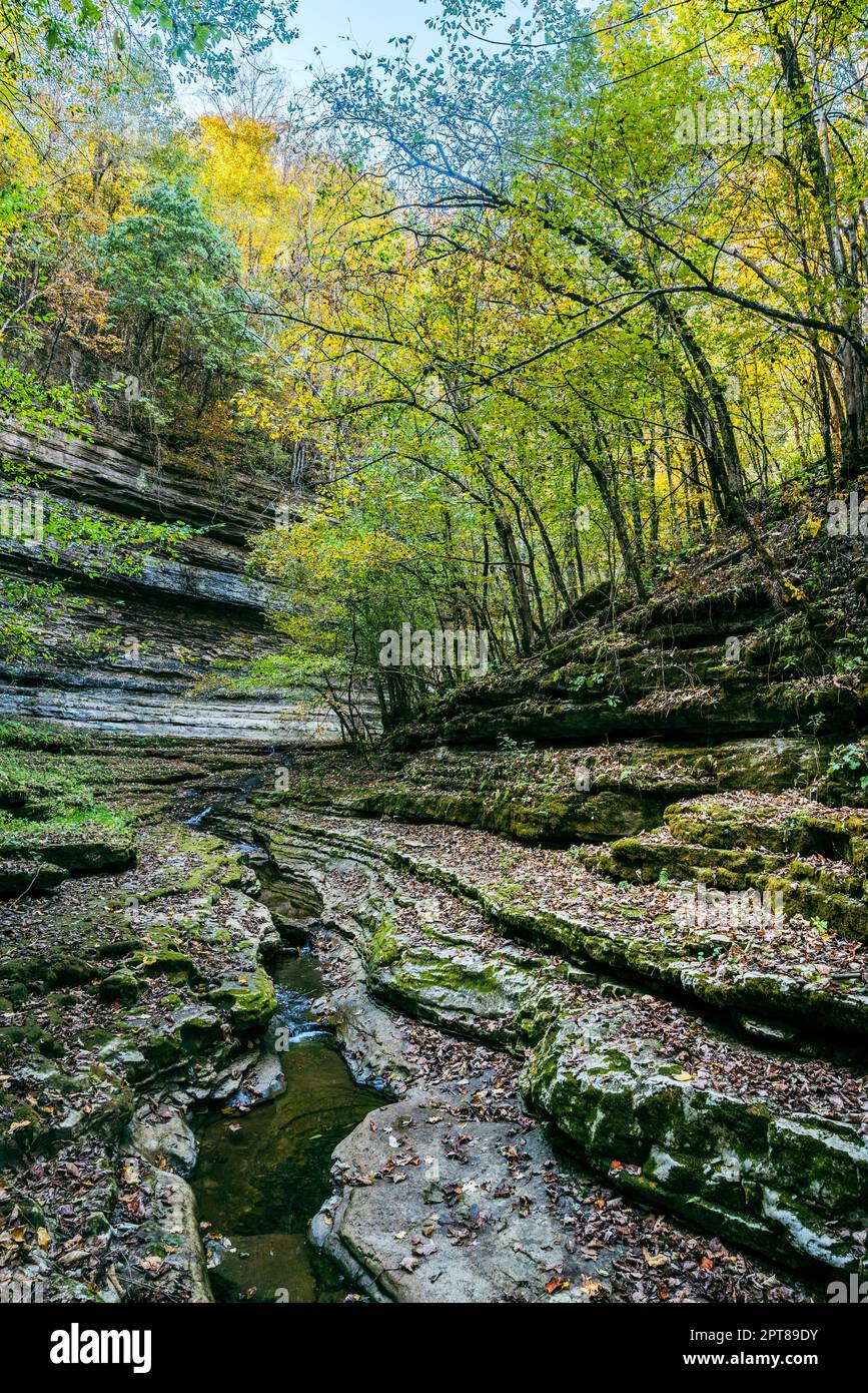 Raven Run creek and ravine in Raven Run Nature Sanctuary in Lexington ...