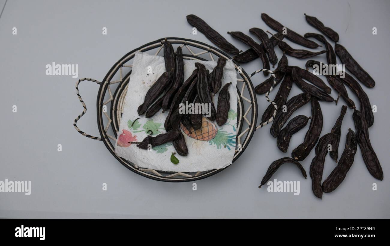 dried carob fruit on white background, typical autumn. carob mixed ...