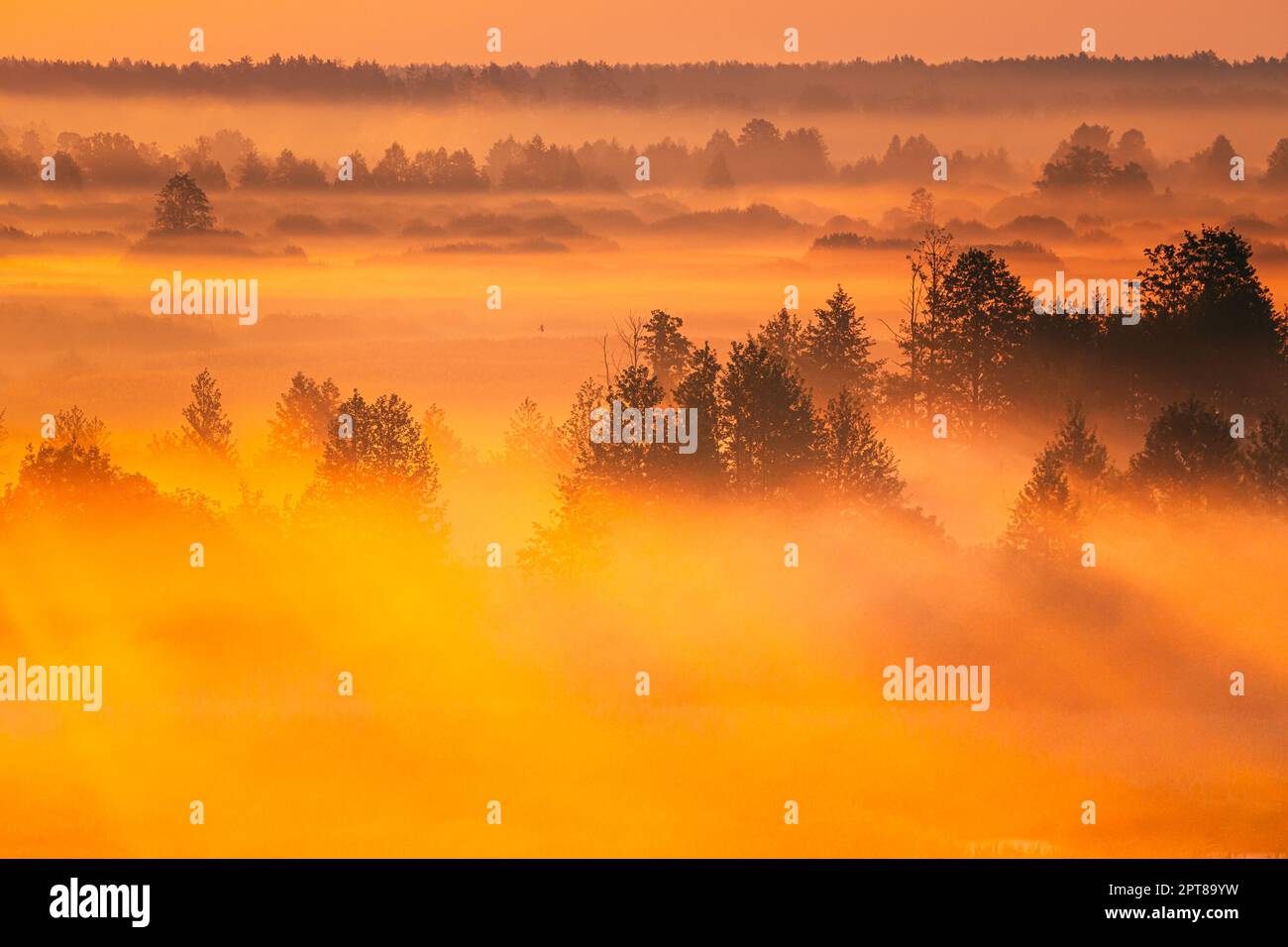 Amazing Sunrise Light Above Misty Landscape. Scenic View Of Foggy ...