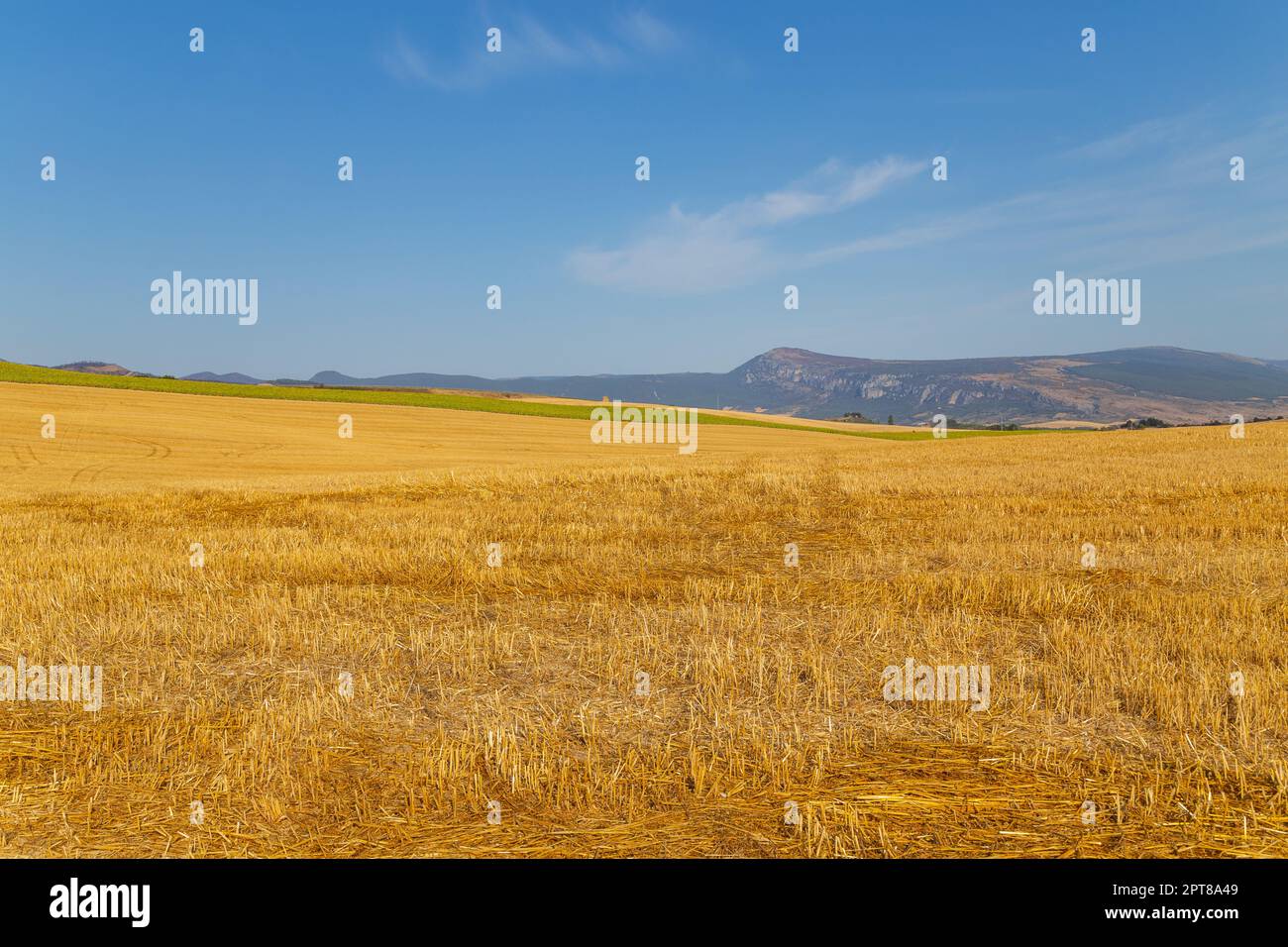 view of a crop field in the north of Spain Stock Photo - Alamy
