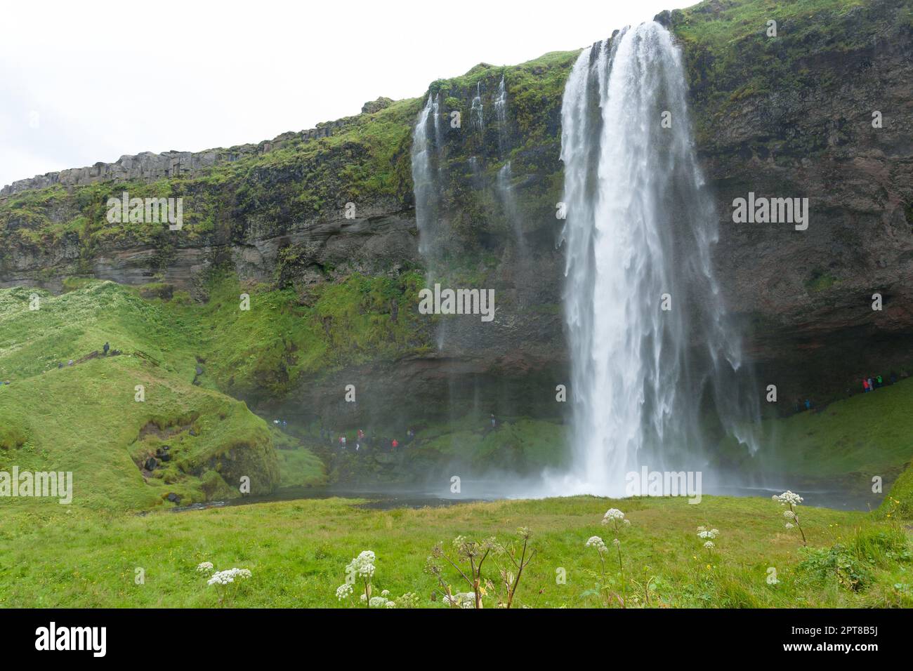 Seljalandsfoss falls in summer season view, Iceland. Icelandic ...