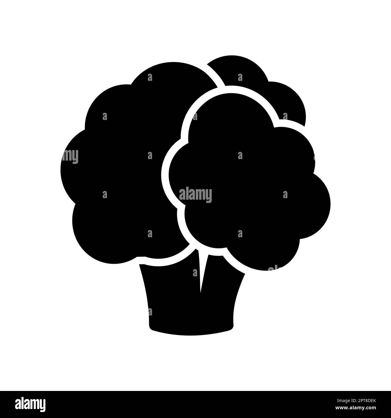 Cauliflower isolated vector glyph icon. Vegetable sign. Graph symbol ...