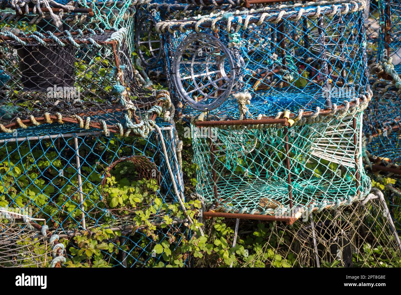 Traditional fishing traps closeup view in Brittany harbor, France Stock ...