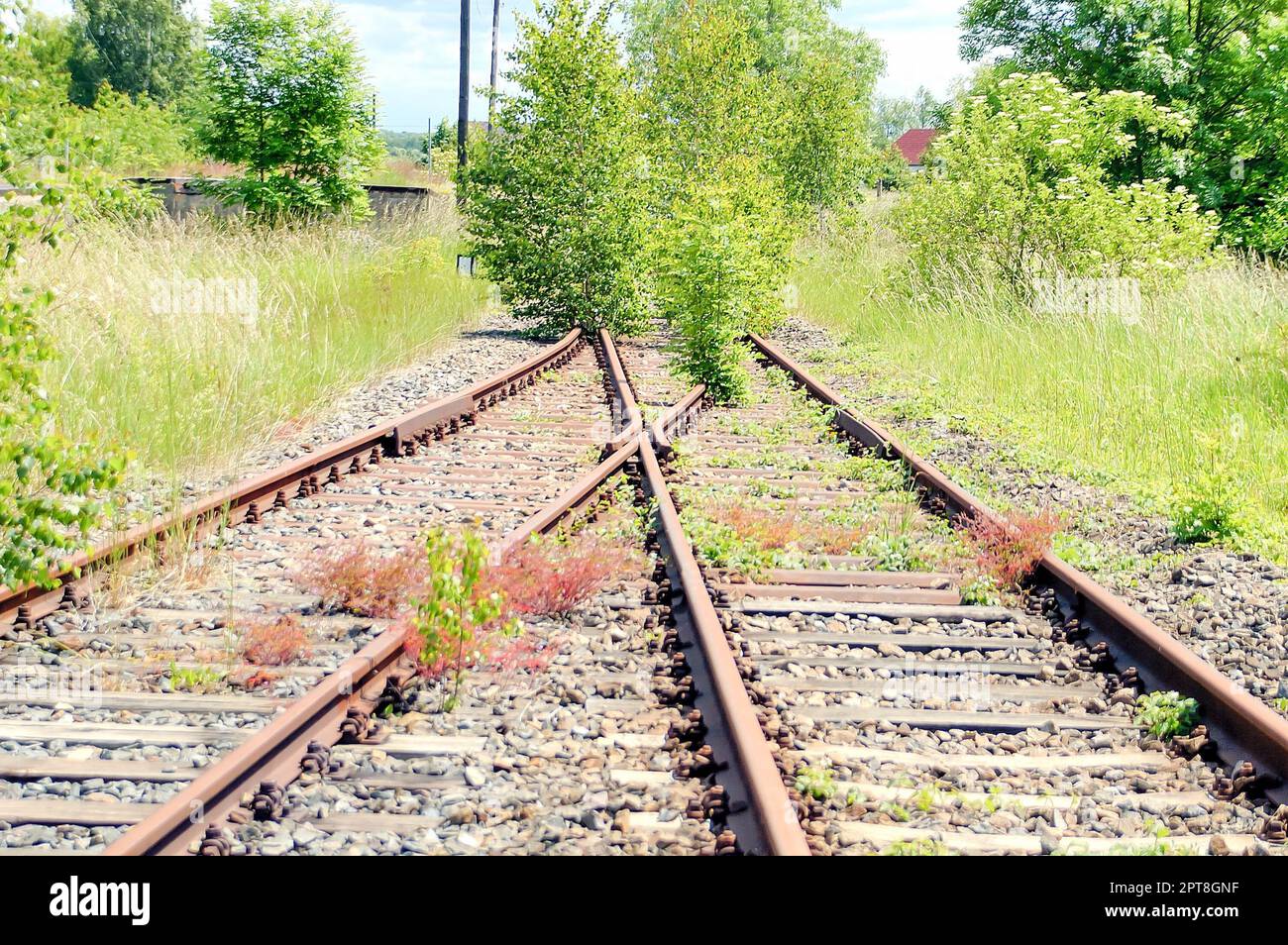 Railroad tracks, tracks and sleepers of a railway line Stock Photo - Alamy