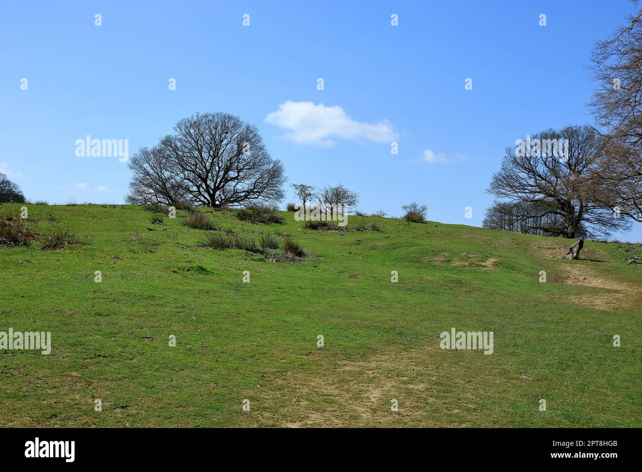 A colourful woodland landscape in the Sevenoaks countryside Stock Photo ...