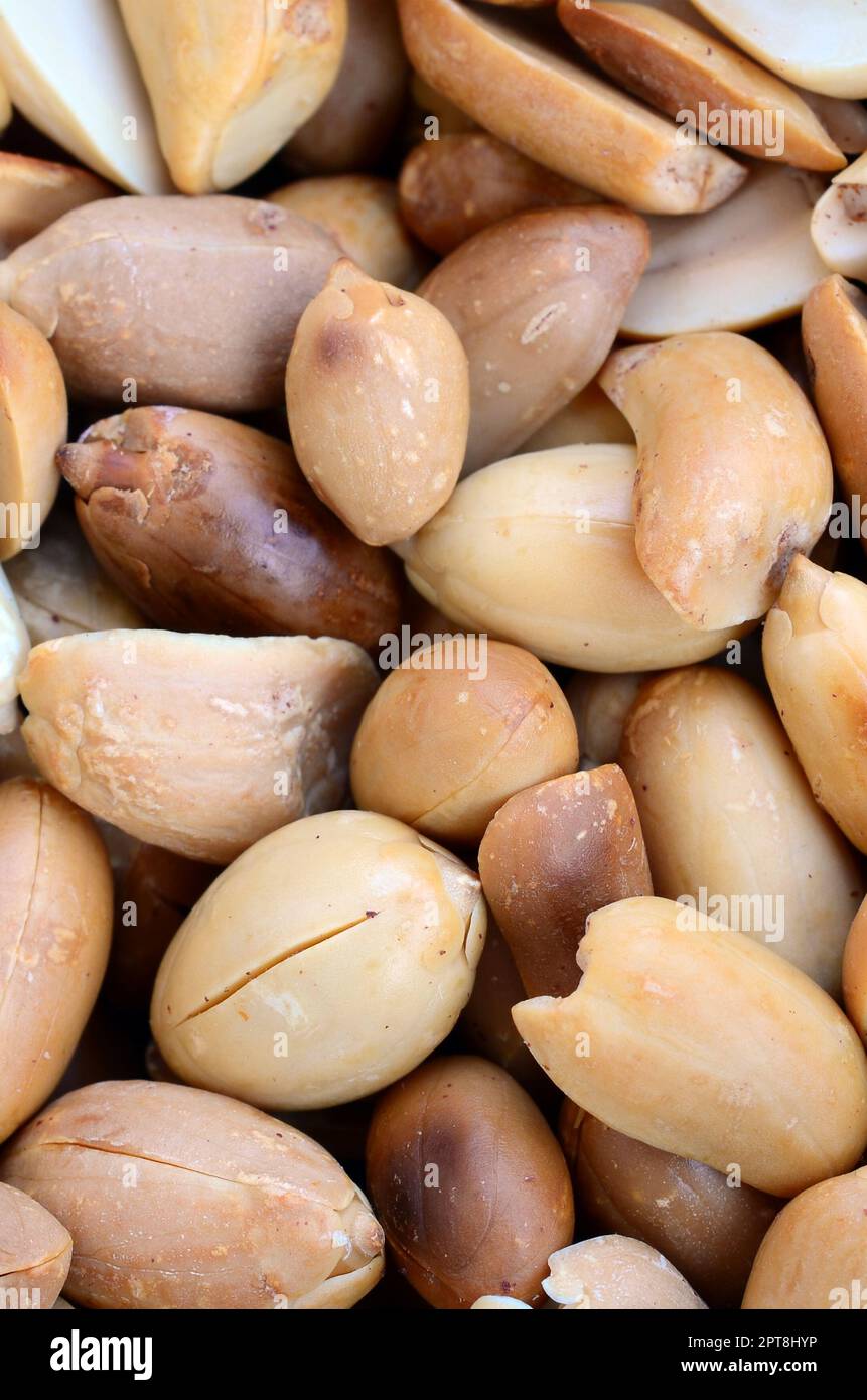 Peanut. A lot of small yellow nuts without peel. Background texture ...