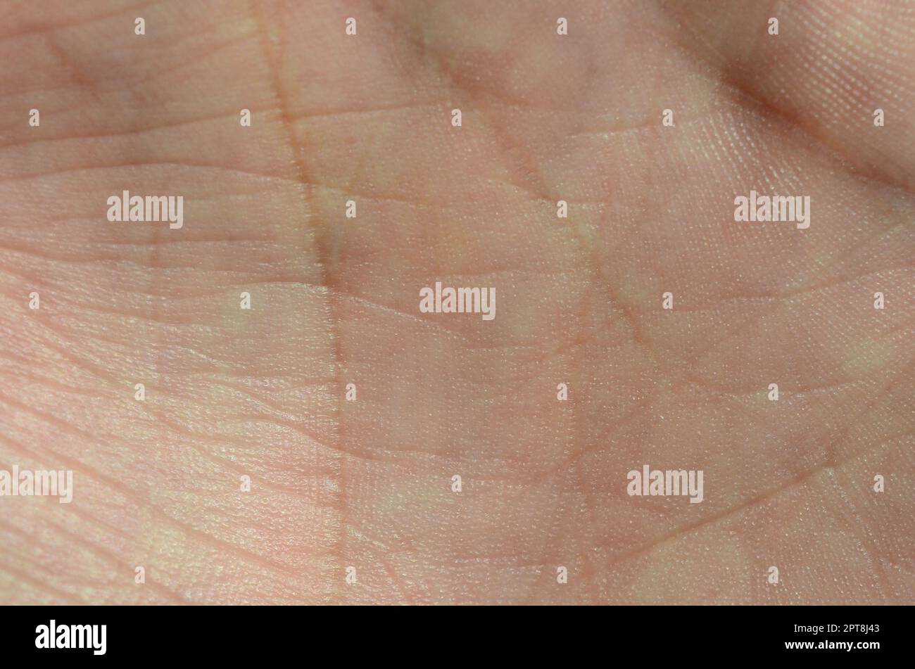 Close up of human hand skin with visible skin texture and lines Stock ...