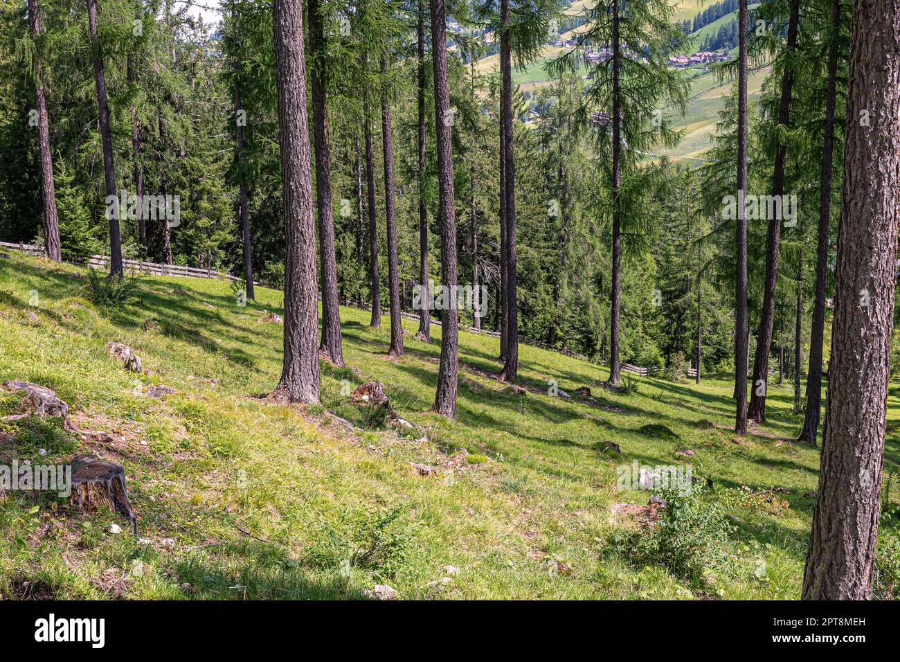 Mountain trekking itinerary in Alta Badia, Italian alps. Beautiful ...