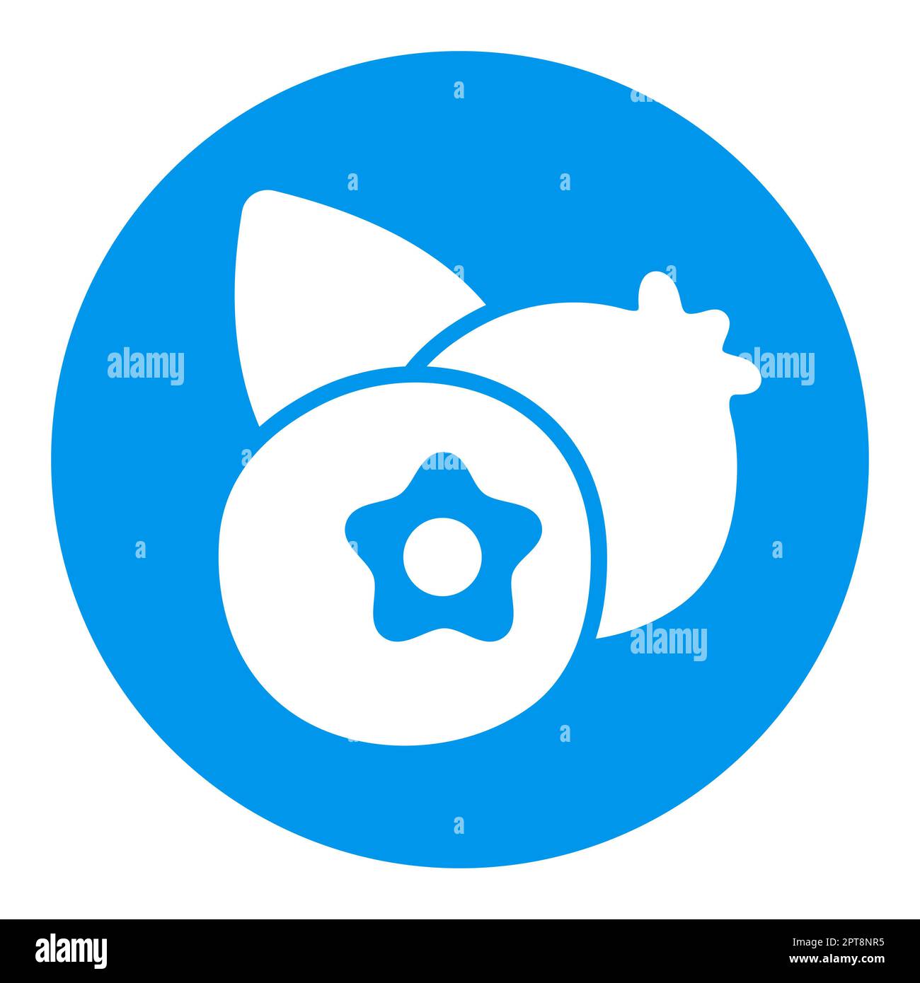 Forest berry sign. Blueberry vector glyph icon. Graph symbol for food ...