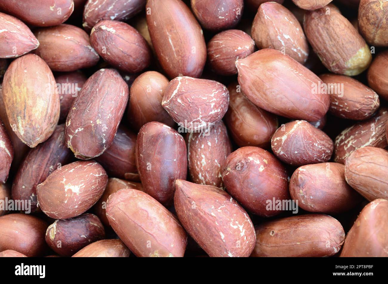Peanut. A lot of small yellow nuts with brown peel. Background texture ...