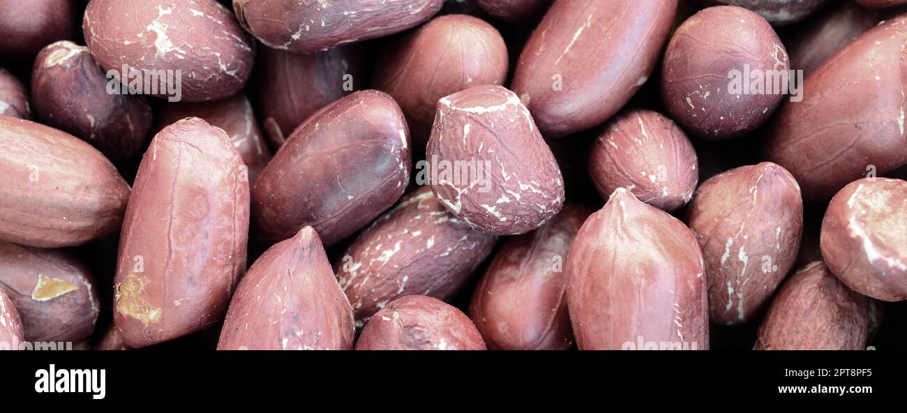 Peanut. A lot of small yellow nuts with brown peel. Background texture ...