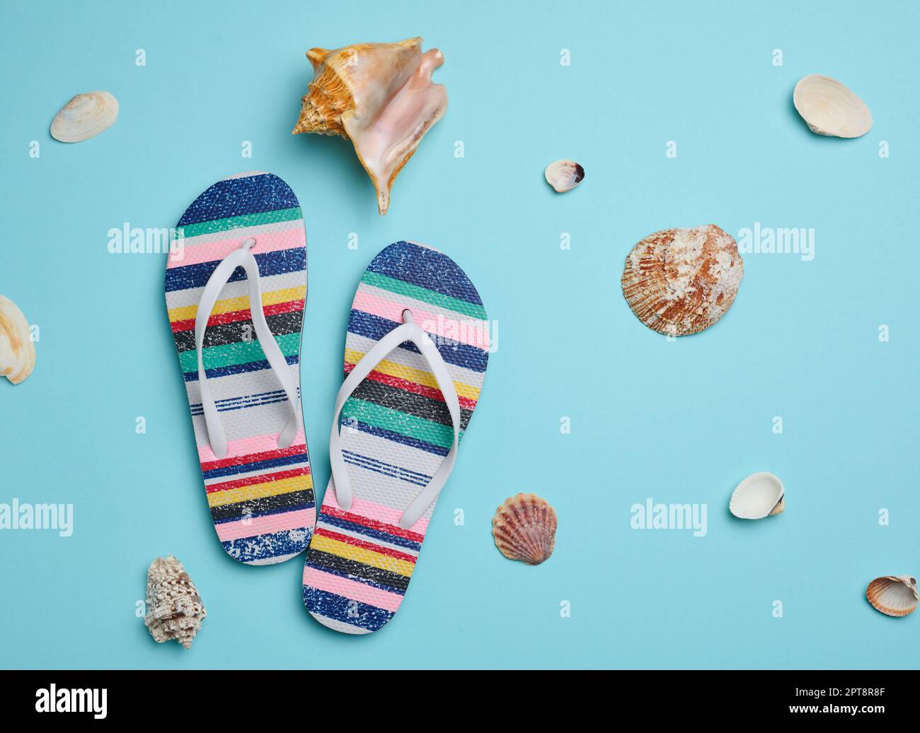 Summer slippers slates and various shells on a blue background, top ...