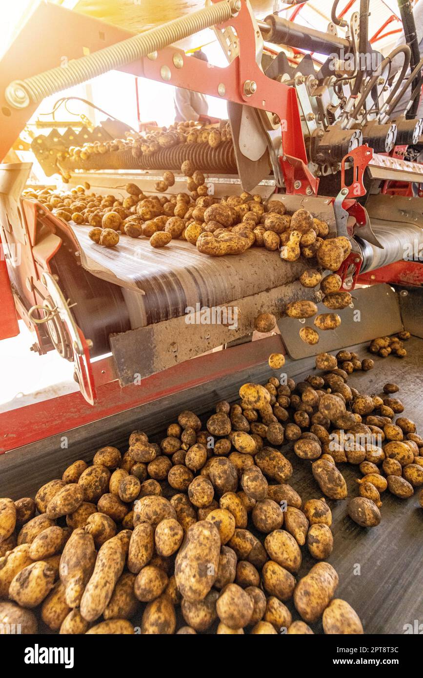 Modern automated production for sorting, processing and storage of ...