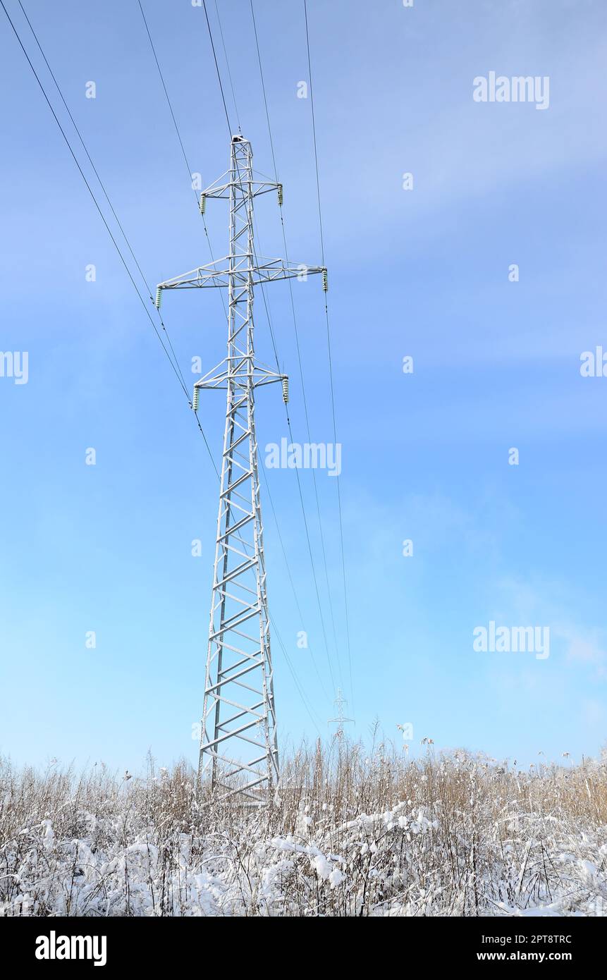 The power line tower is located in a marshy area, covered with snow ...
