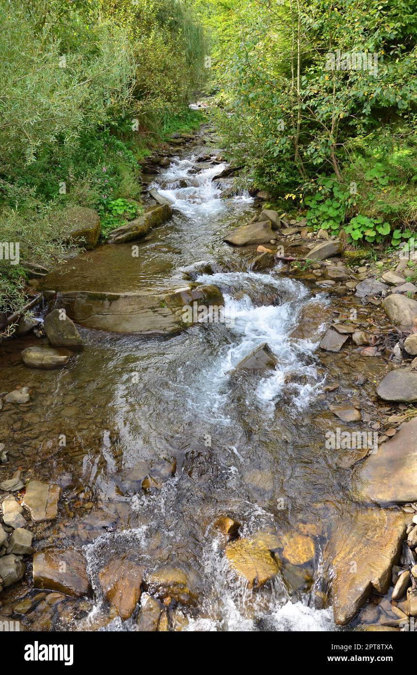 Close-up image of a small wild waterfall in the form of short streams ...