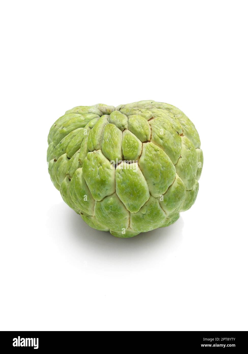 Custard apple isolated on white background close up Stock Photo - Alamy