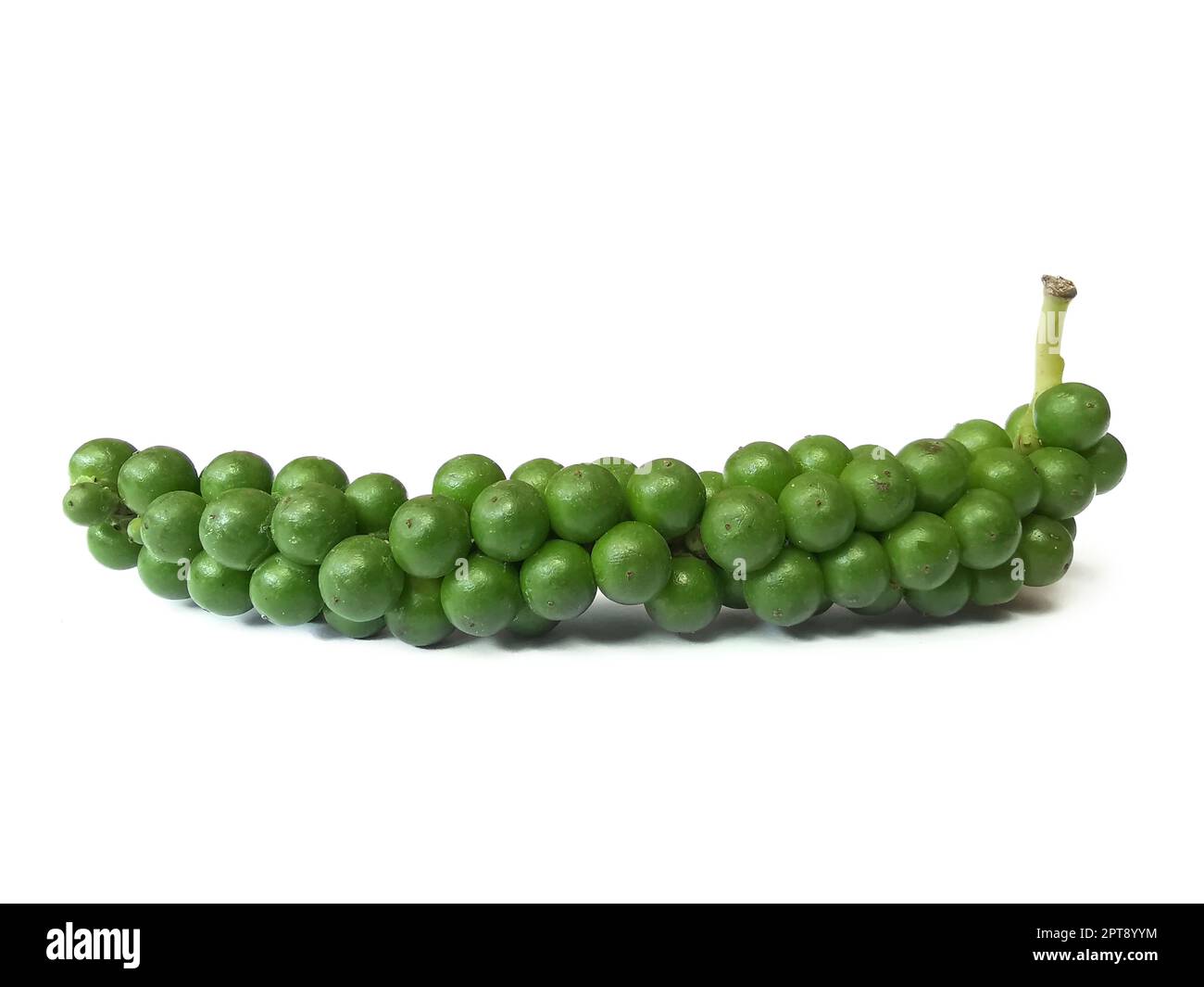 fresh green peppercorns with isolated on a white background Stock Photo ...