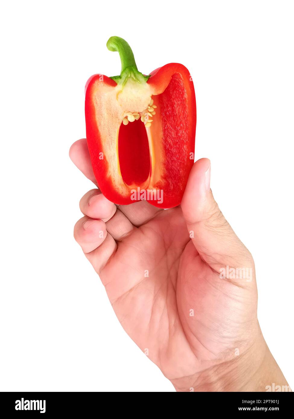 hand holding red Bell Pepper isolated on white background Stock Photo ...