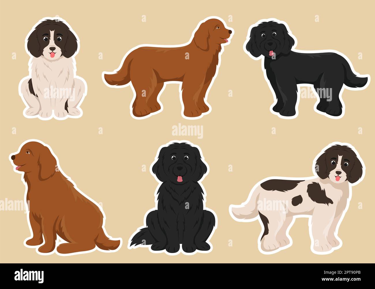 Newfoundland Dog Animals with Black, Brown or Landseer Color in Flat ...