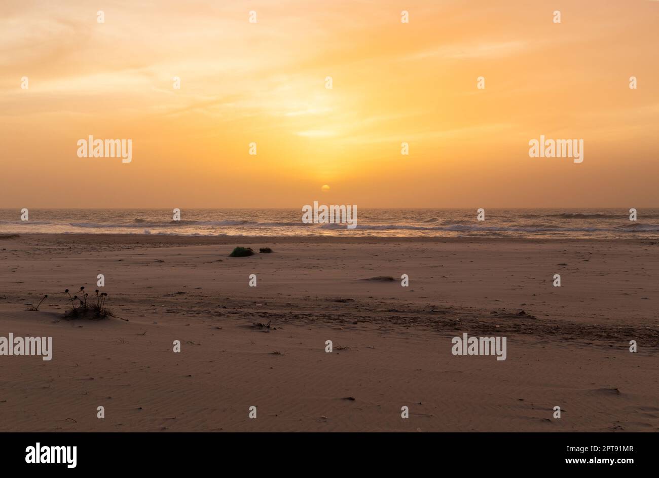 Beach in Senegal Africa at sunset Stock Photo - Alamy