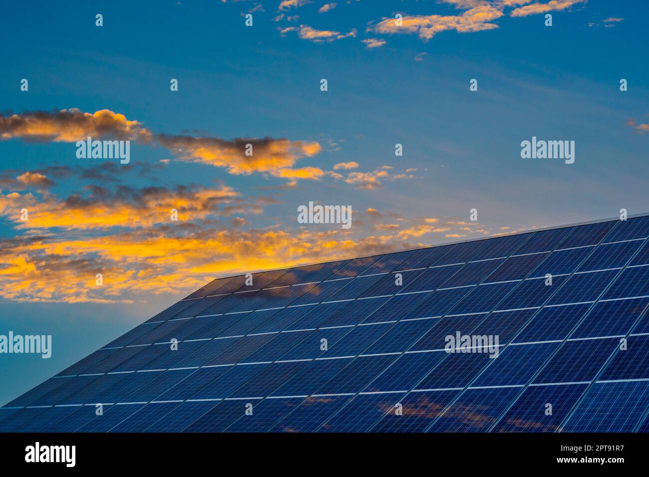 Blue photovoltaic solar panels at twilight. Solar power are clean ...