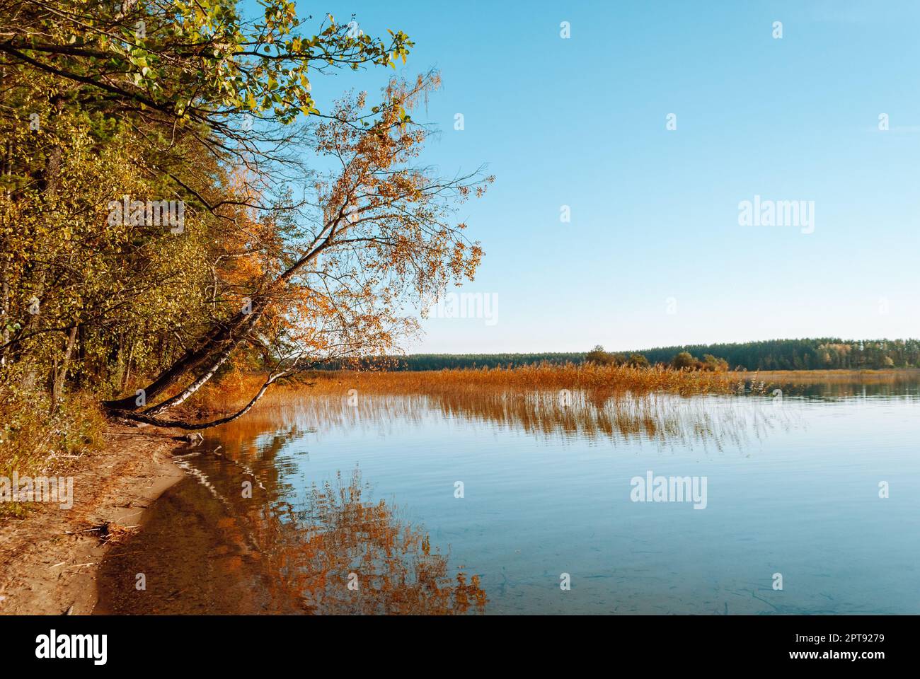 Scenic views of Lake Baltieji Lakajai in Labanoras Regional Park ...