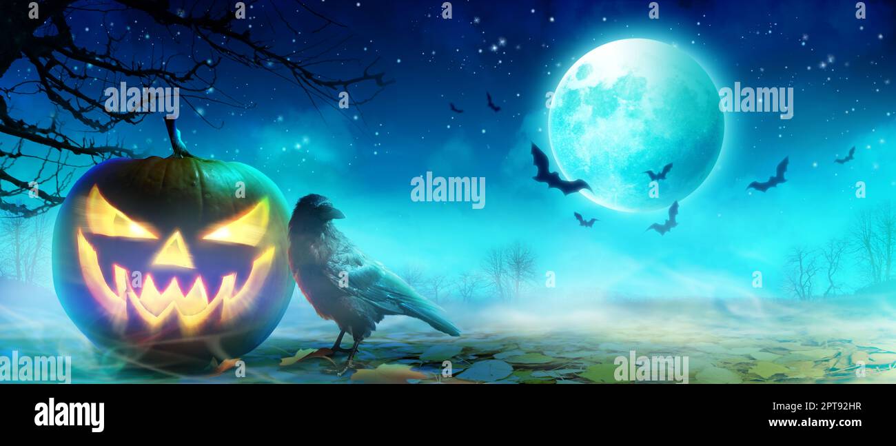 Halloween background with raven in a spooky night Stock Photo - Alamy