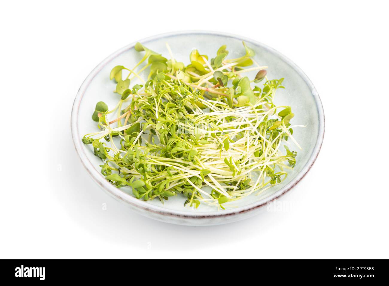 Ceramic plate with microgreen sprouts of radish and cress isolated on ...