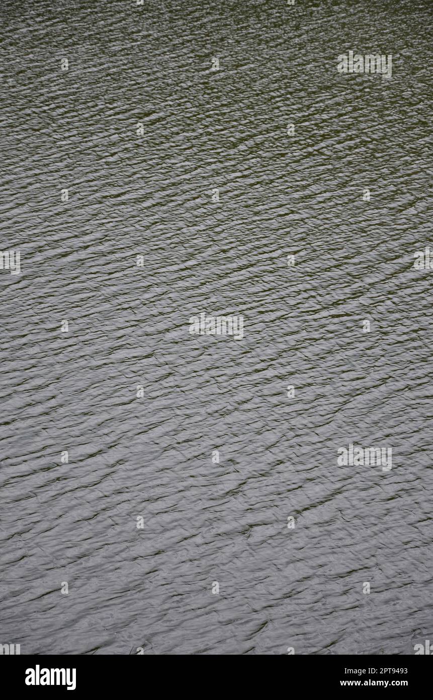 The texture of dark river water under the influence of wind, imprinted ...