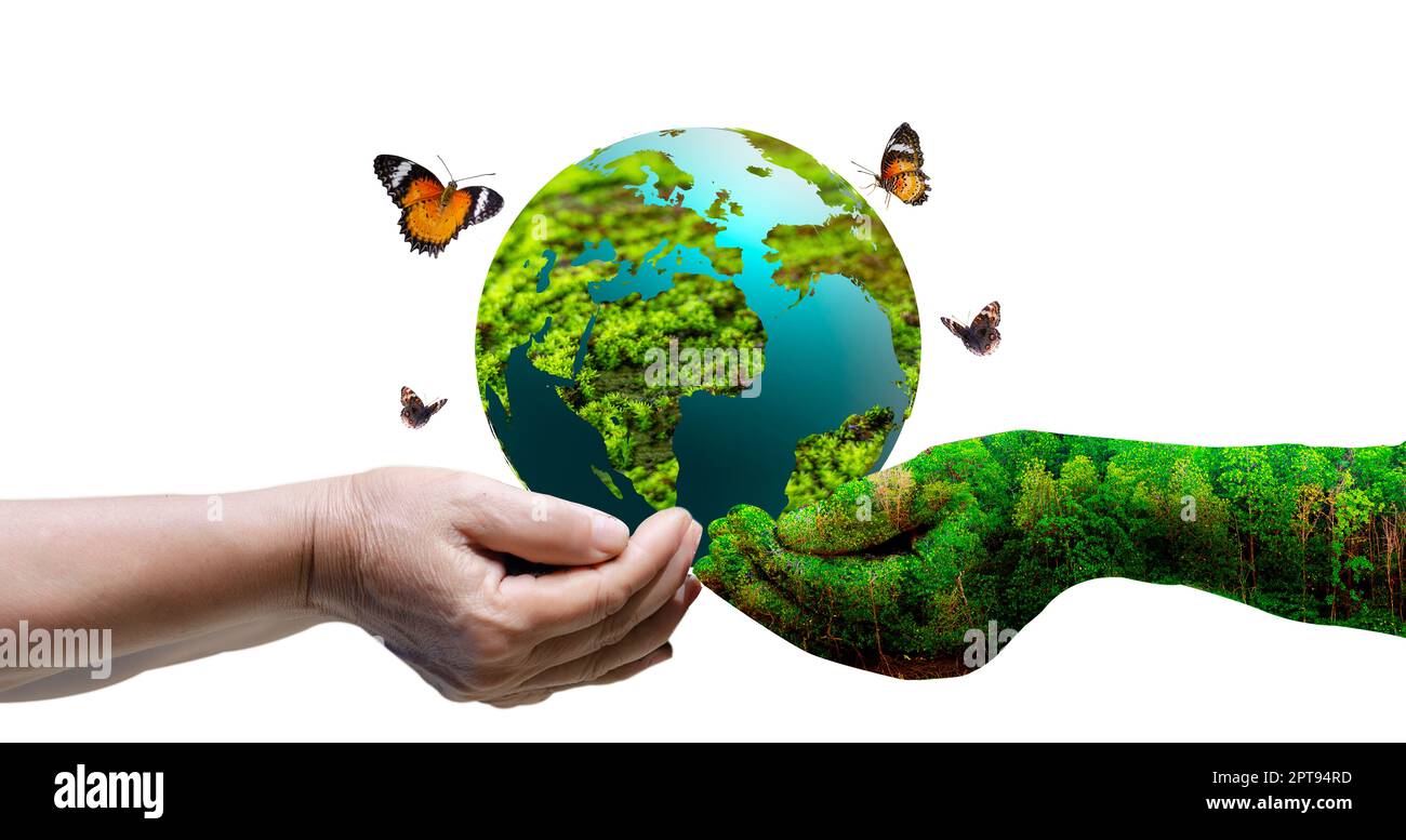 Concept Save the world save environment The world is in the grass of ...