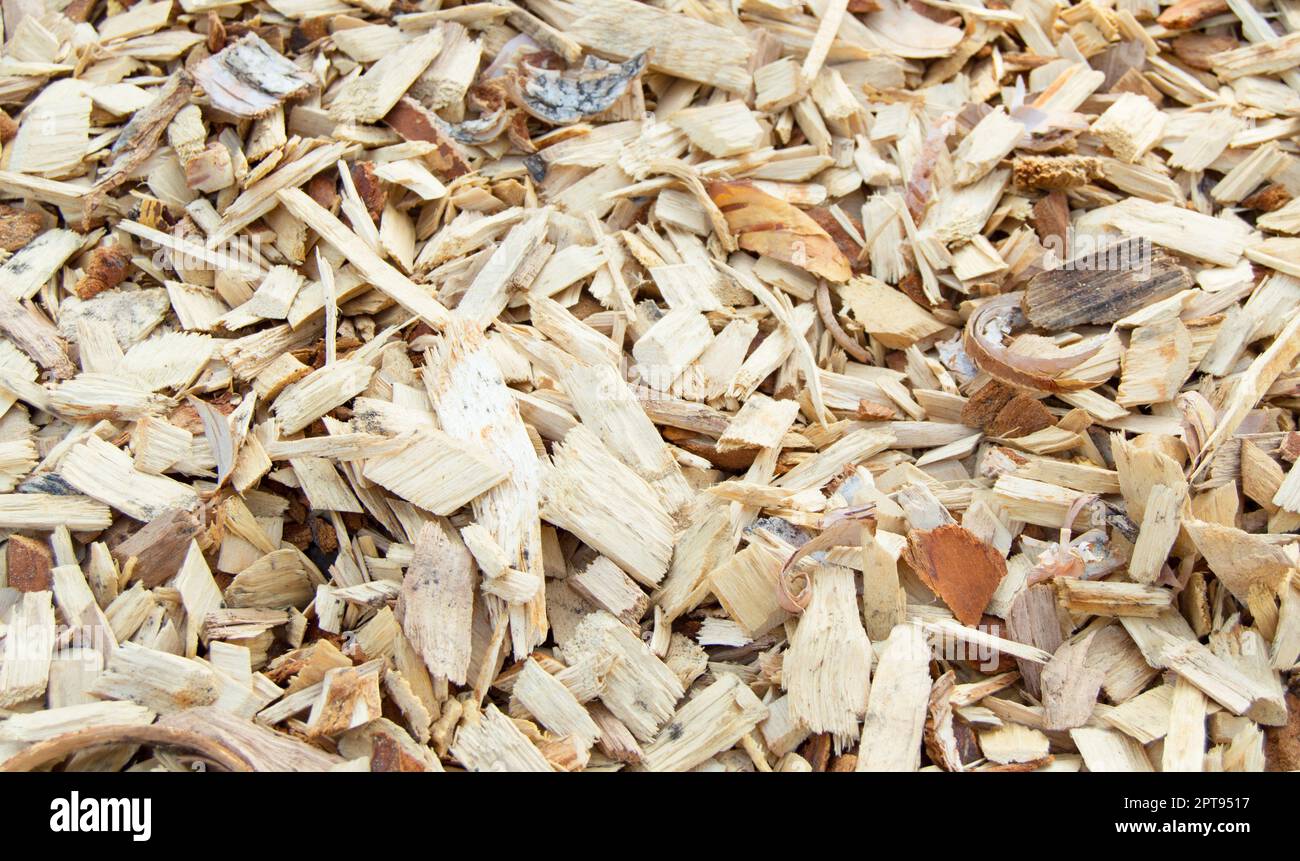 Wood shavings, shavings chips natural material texture background Stock ...