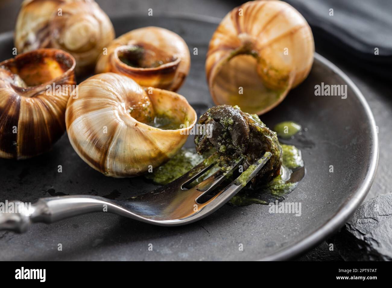 Snails with parsley butter, Bourgogne Escargot Snails on the plate ...