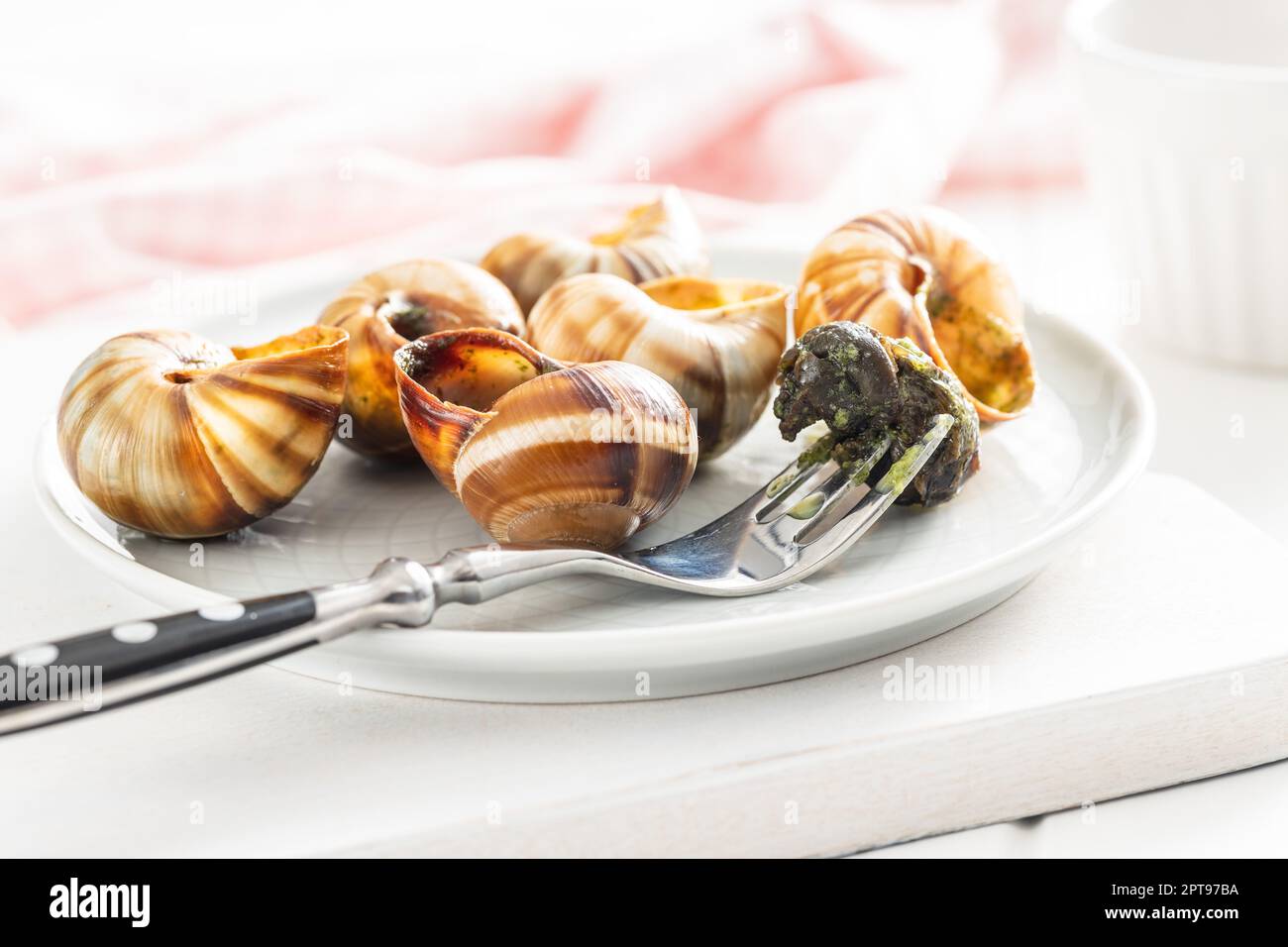Snails with parsley butter, Bourgogne Escargot Snails on the plate ...