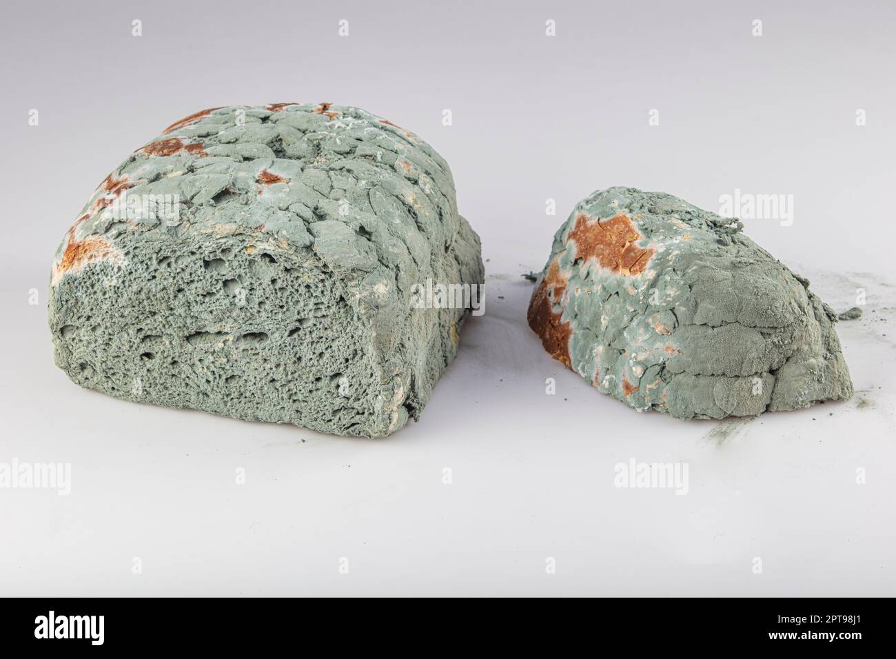 moldy bread white background, Moldy bread, expired can not eat any more ...
