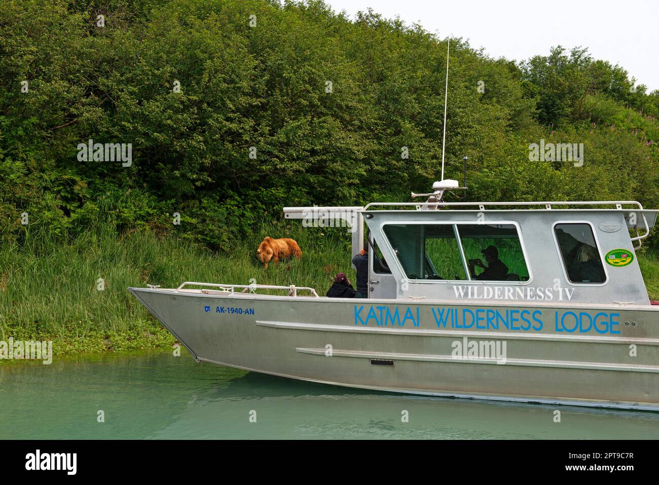 Tourists on photo safari by boat in Kukak Bay watching grizzly bears ...