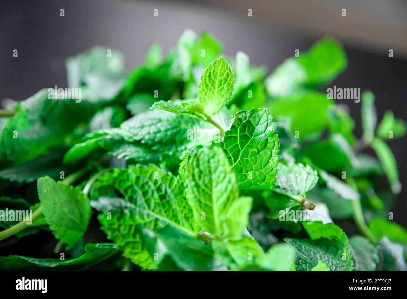 Bunch of fresh mint closeup view. Food background Stock Photo - Alamy