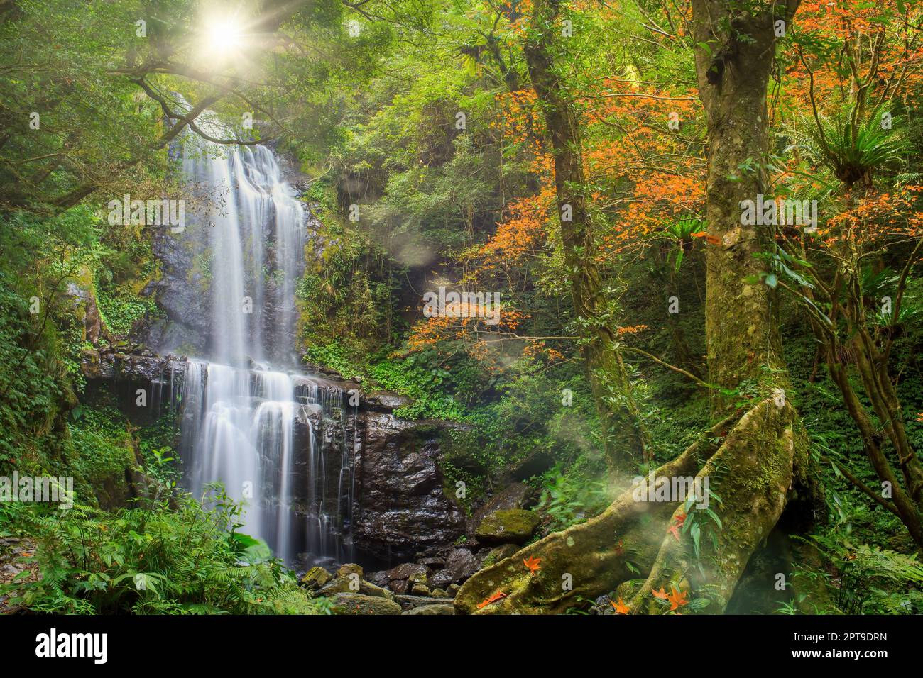 The Yunsen Waterfall in autumn, Three Gorges, New Taipei City, Taiwan ...