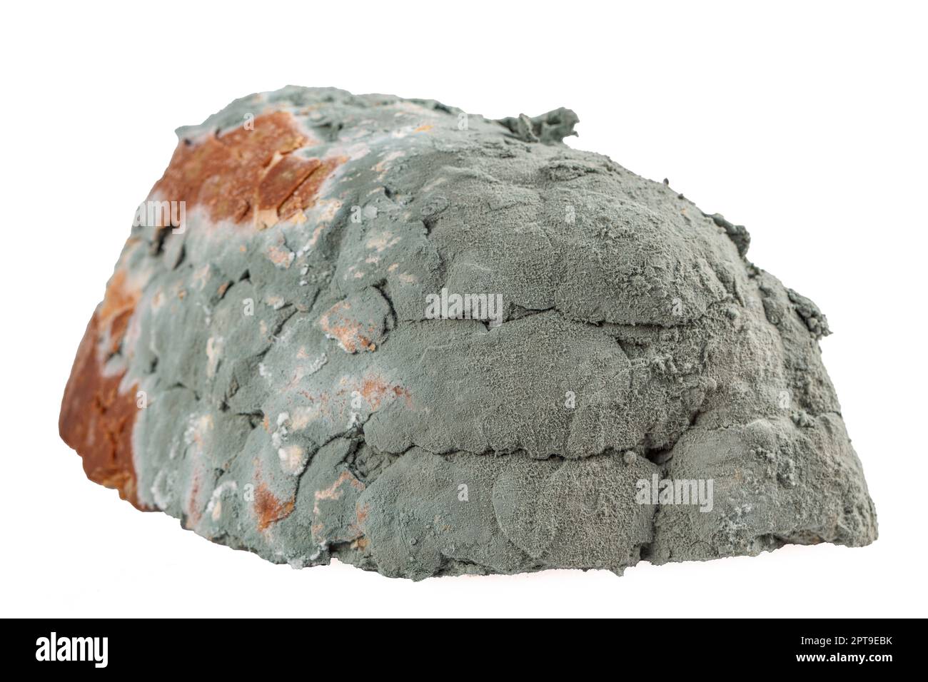 moldy bread white background, Moldy bread, expired can not eat any more ...