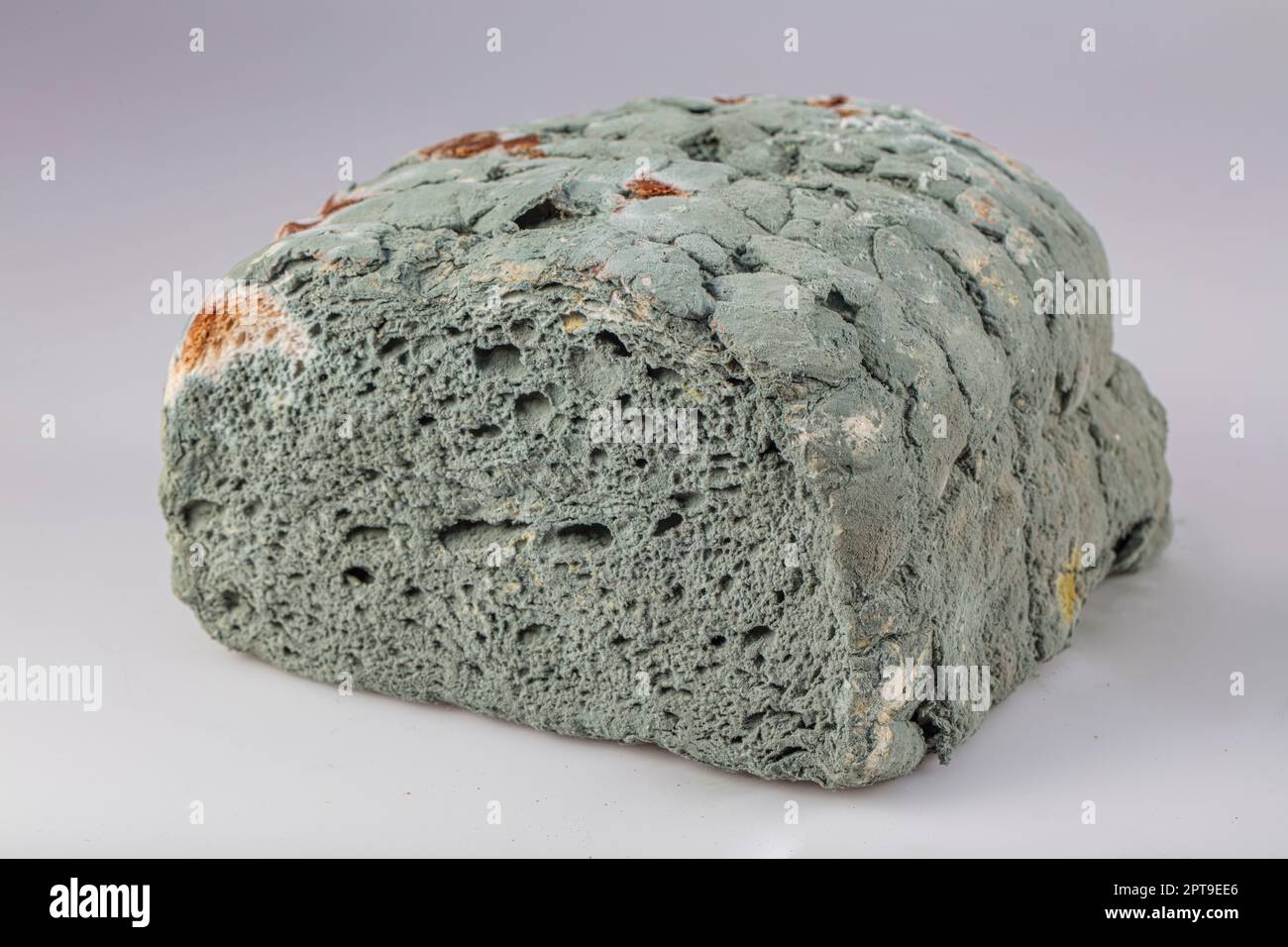 moldy bread white background, Moldy bread, expired can not eat any more ...