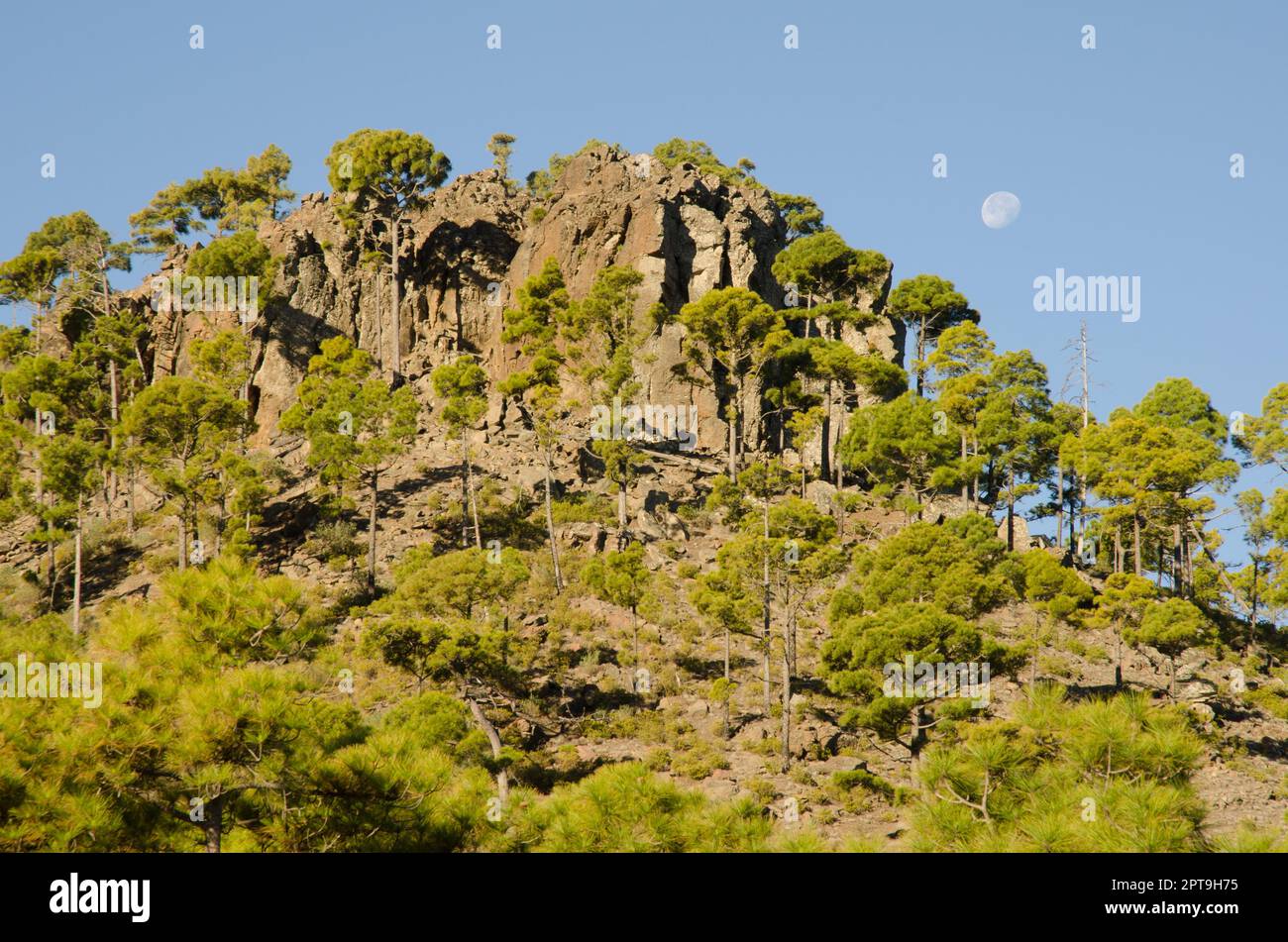 Cliff and moon. Ojeda Mountain. Integral Natural Reserve of Inagua ...