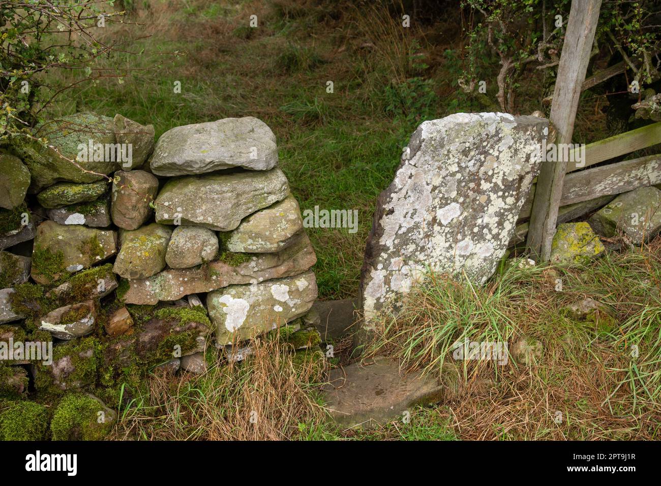 Stone stile on a hiking path in the Yorkshire Dales, England, UK Stock ...